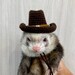 Cowboy Hat Brown Knitted Halloween Costume Knitted Pet Hat Ferret ...