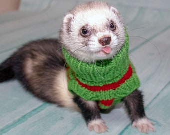 Ferret costume | Etsy