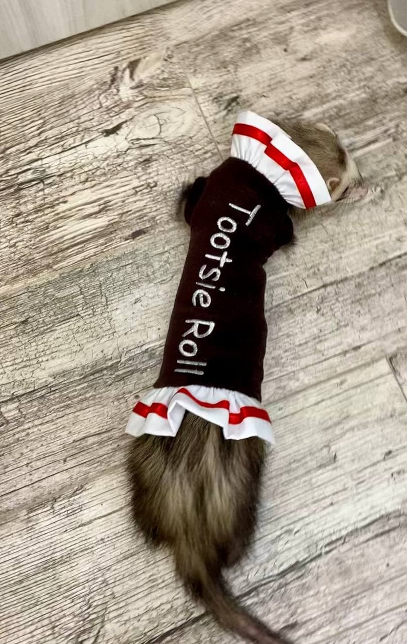 Ferret Costume Candy Tootsie Roll Halloween, Ferret Clothes - Etsy
