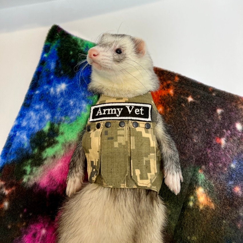 Army Vest Harness Ferrets Collar - Etsy Australia