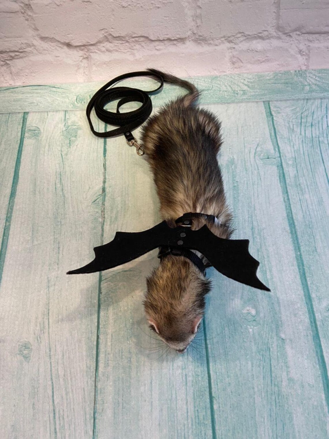 Ferret costume halloween pet clothes for ferrets. Bat wings. | Etsy