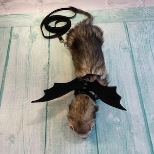 Ferret Costume Halloween Pet Clothes for Ferrets. Bat Wings. Harness ...