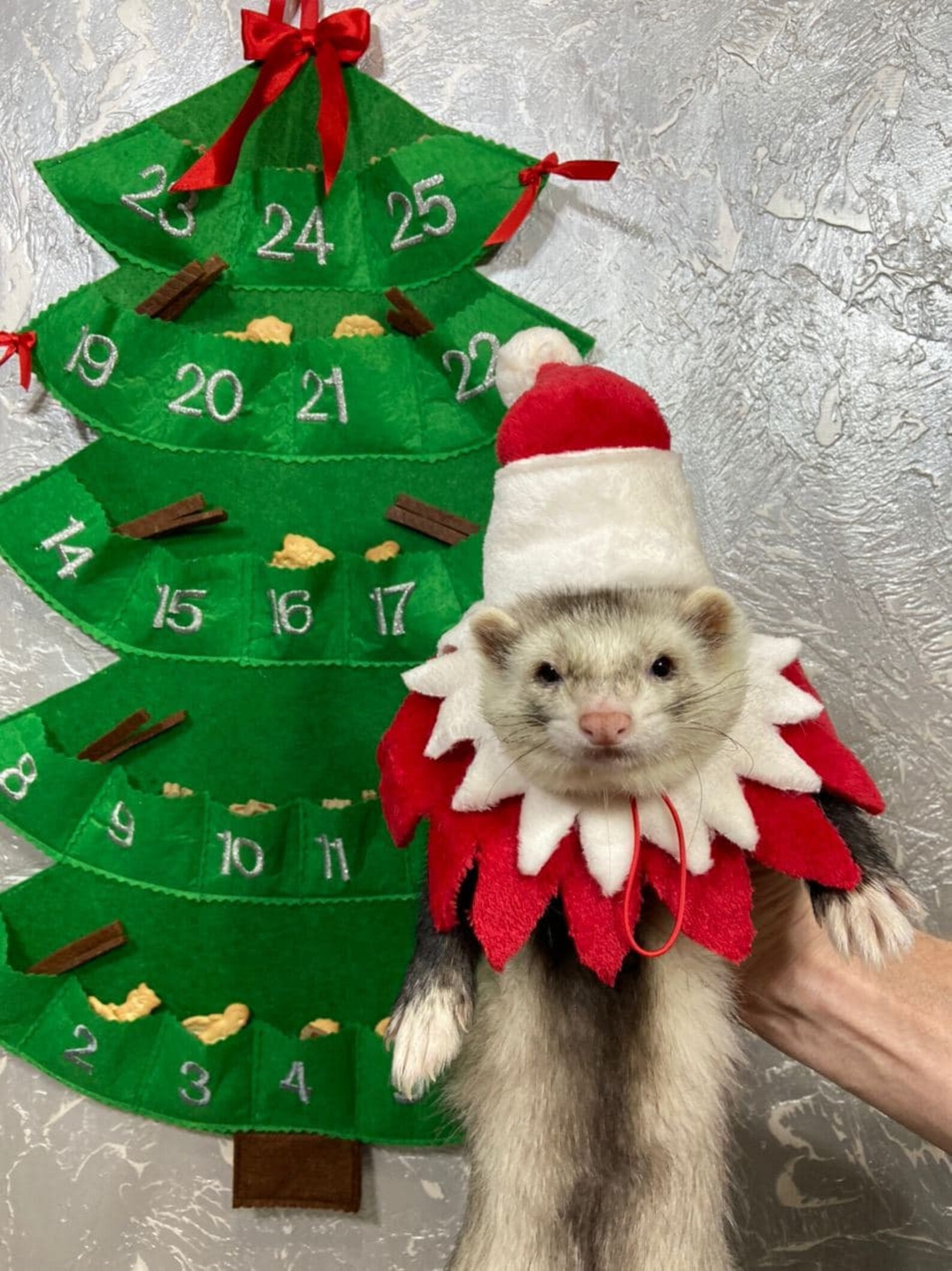 Clothes for Ferrets Santa's Ferret.costume Ferrets New - Etsy