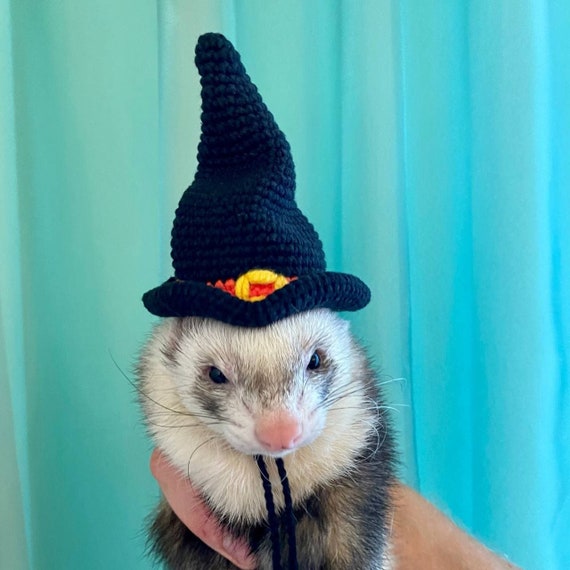 Ferrets Wearing Hats
