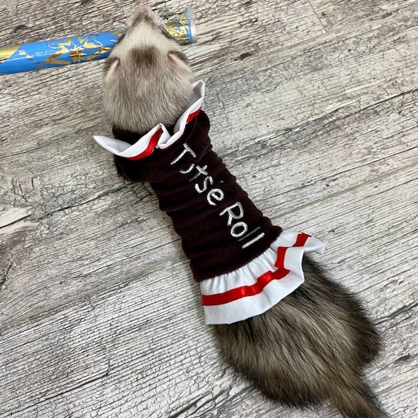 Ferret Clothes - Etsy