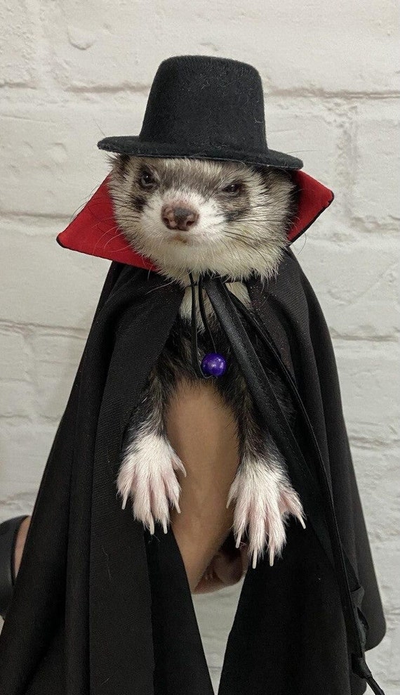 Scary halloween costumes store