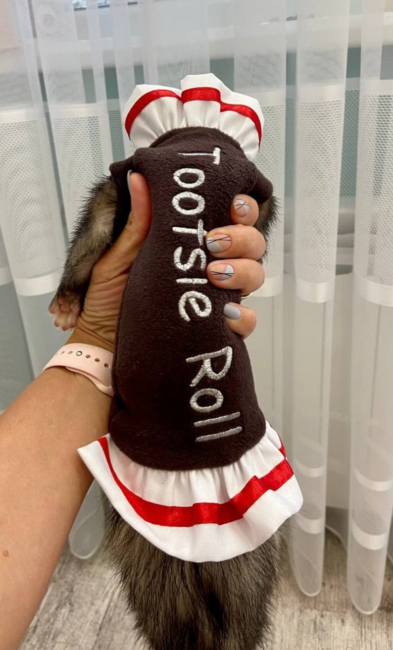 Ferret Costume Candy Tootsie Roll Halloween, Ferret Clothes - Etsy