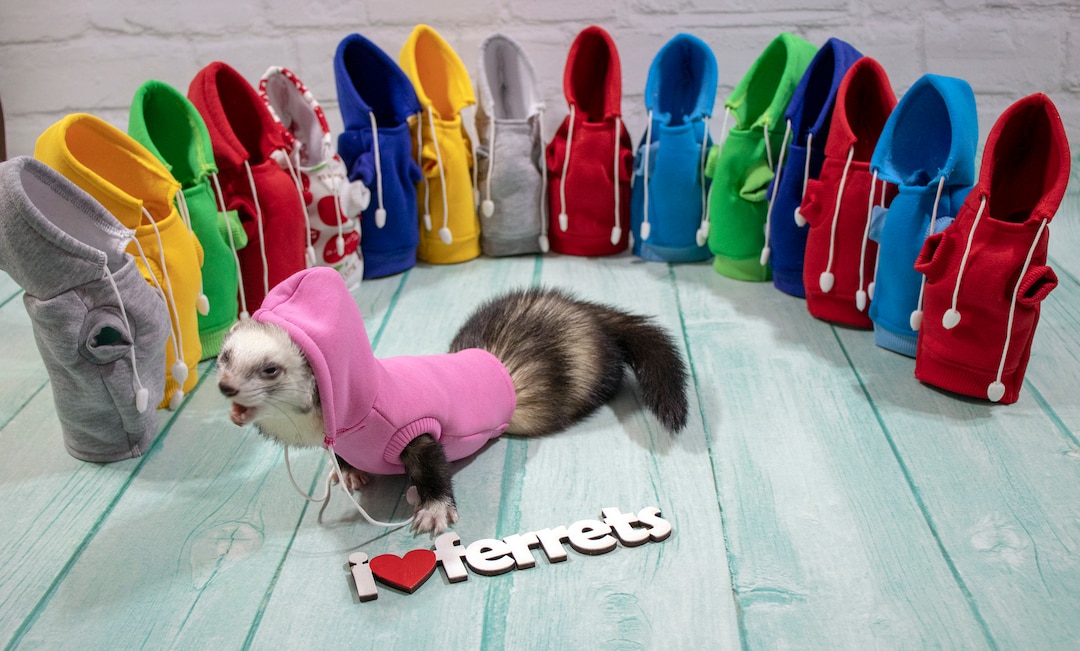 Personalized Ferret Hoodie: Custom Pet Clothes, Small Animal Sweater - Etsy