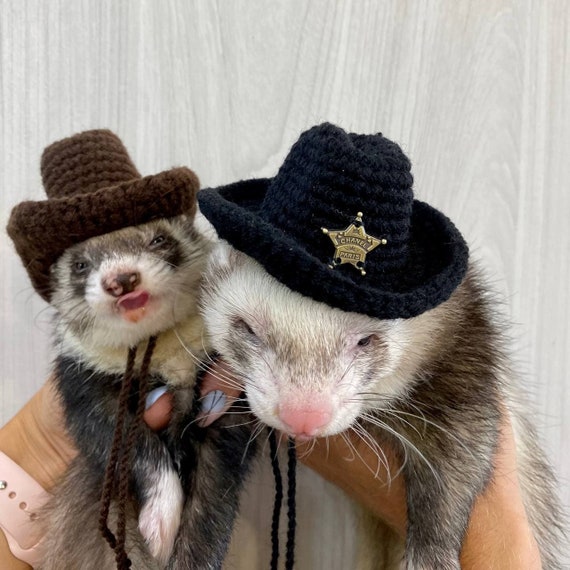 Ferrets Wearing Hats