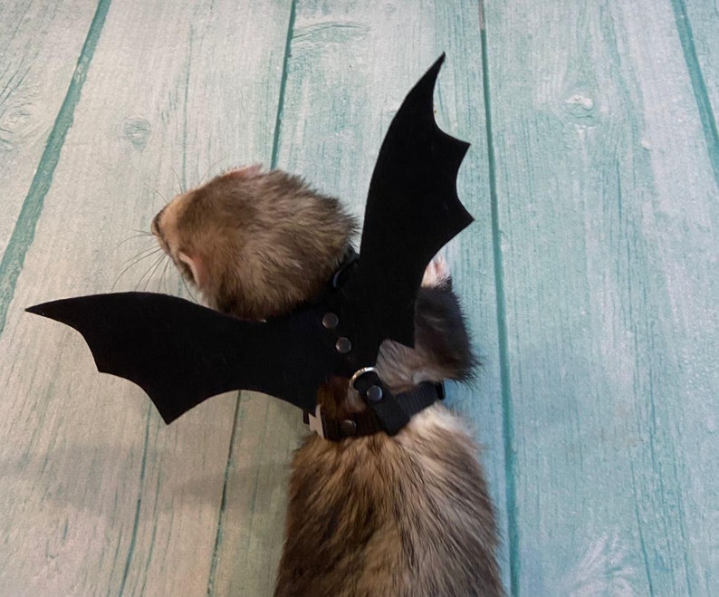 Ferret costume halloween pet clothes for ferrets. Bat wings. | Etsy