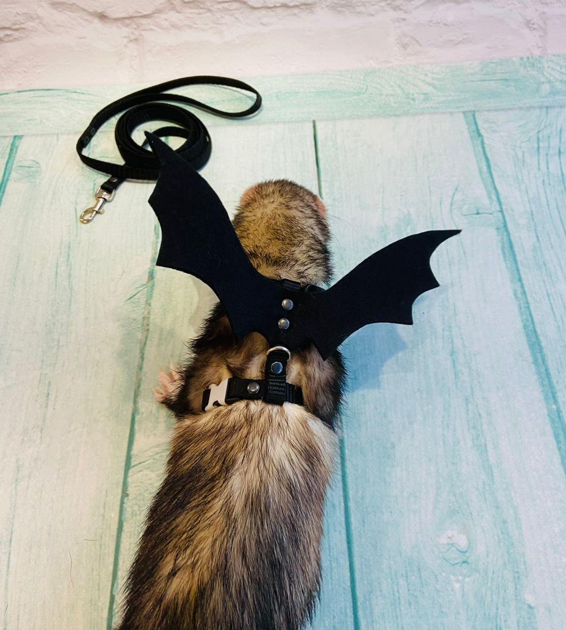 Ferret costume halloween pet clothes for ferrets. Bat wings. | Etsy