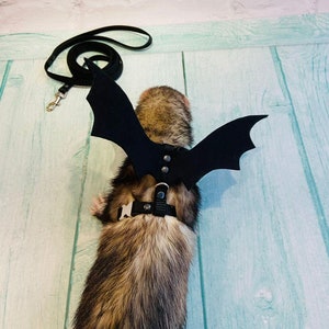 Ferret Costume Halloween Pet Clothes for Ferrets. Bat Wings. Harness ...