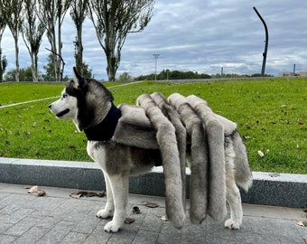 Giant Spider Dog Costume - Etsy