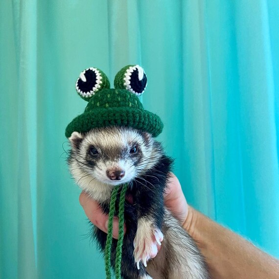 Ferrets In Hats