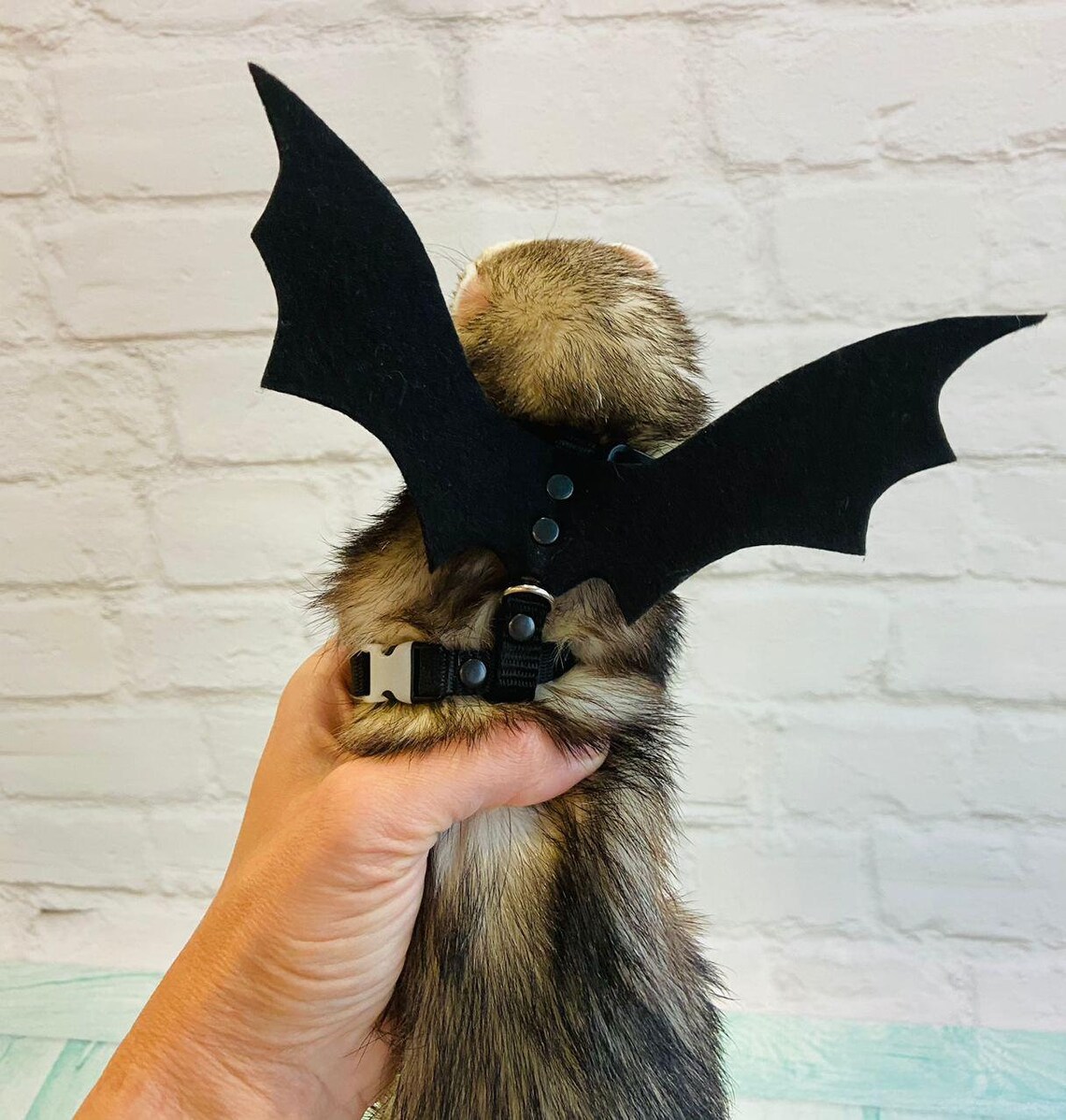 Ferret costume halloween pet clothes for ferrets. Bat wings. | Etsy
