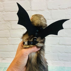 Ferret Costume Halloween Pet Clothes for Ferrets. Bat Wings. Harness ...