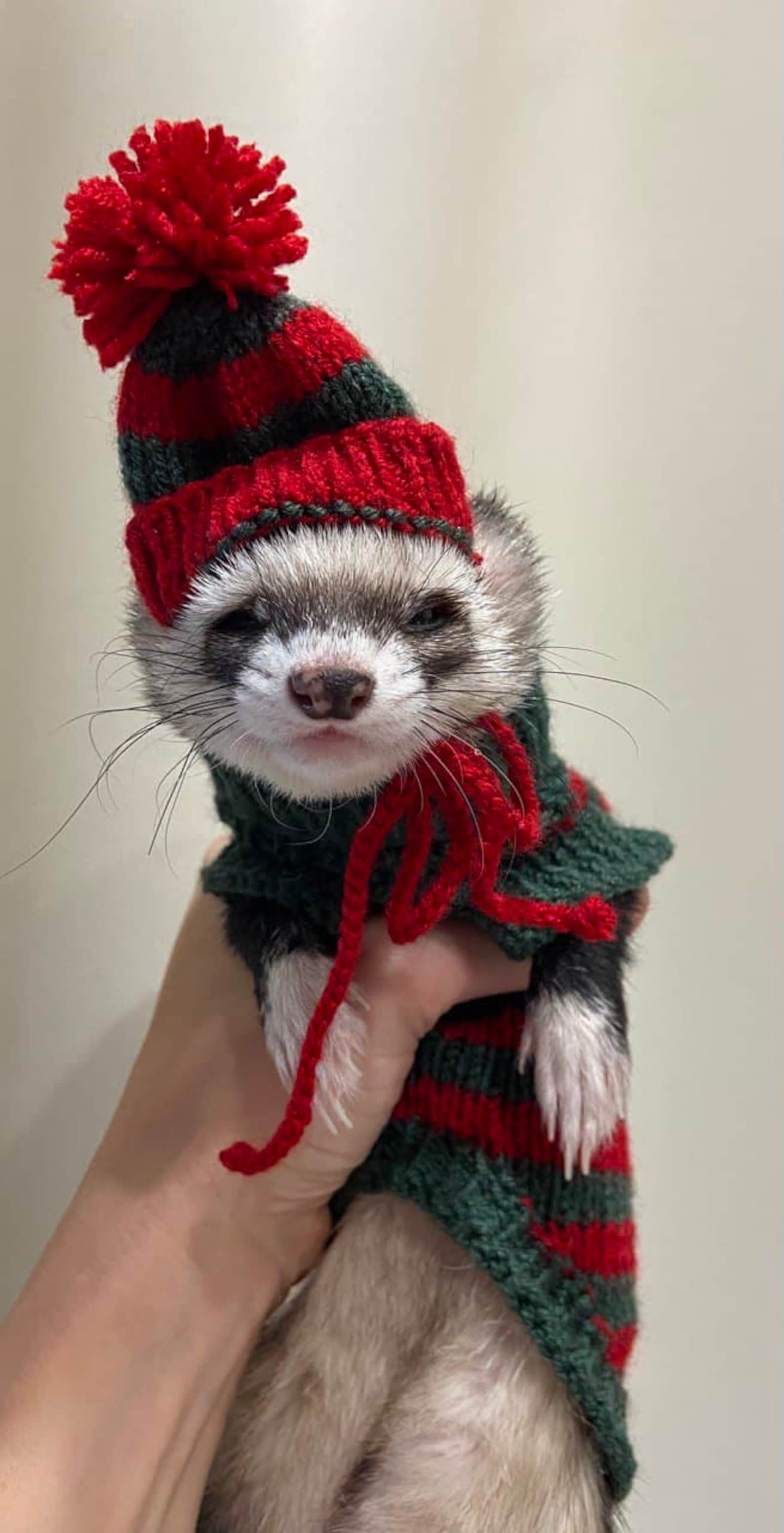 Harry Styles Ferret Knitted Sweater. Clothes for Ferret | Etsy