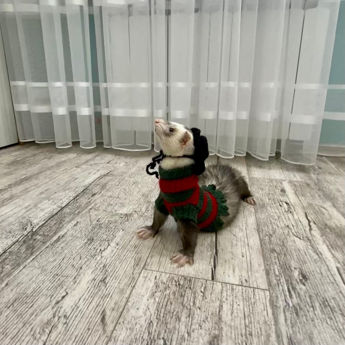 Freddy Krueger Sweatercreepy Scary Clothes for Ferrets | Etsy