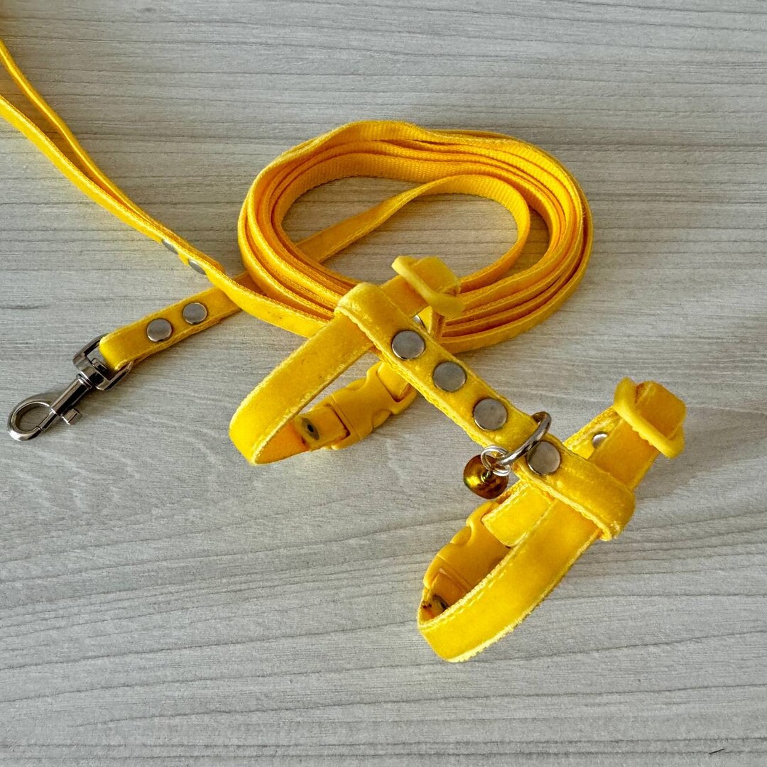 Yellow Velvet Ferret Harness and Leash Set .pet Leash Collar Gifts ...