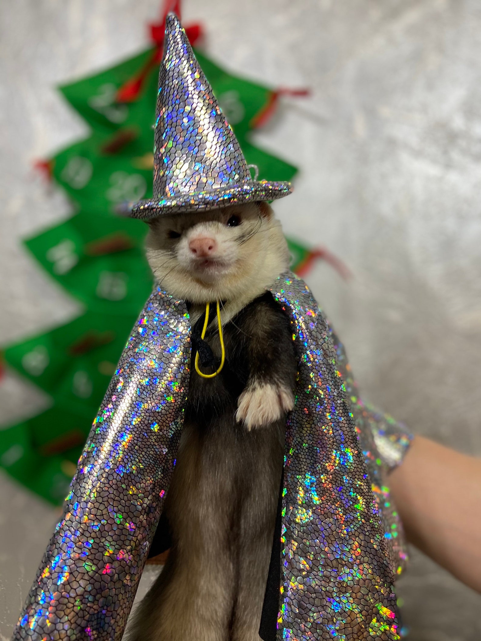 Wizard ferretсhristmas for the ferret gift for ferret owner | Etsy