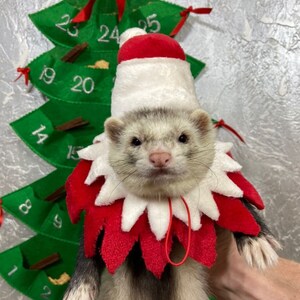 Clothes for Ferrets Santa's Ferret.costume Ferrets New - Etsy
