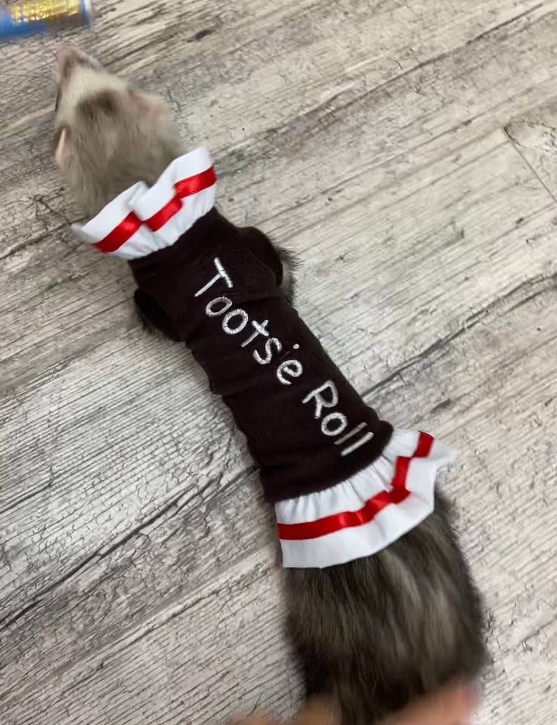 Ferret Costume Candy Tootsie Roll Halloween Ferret Clothes - Etsy