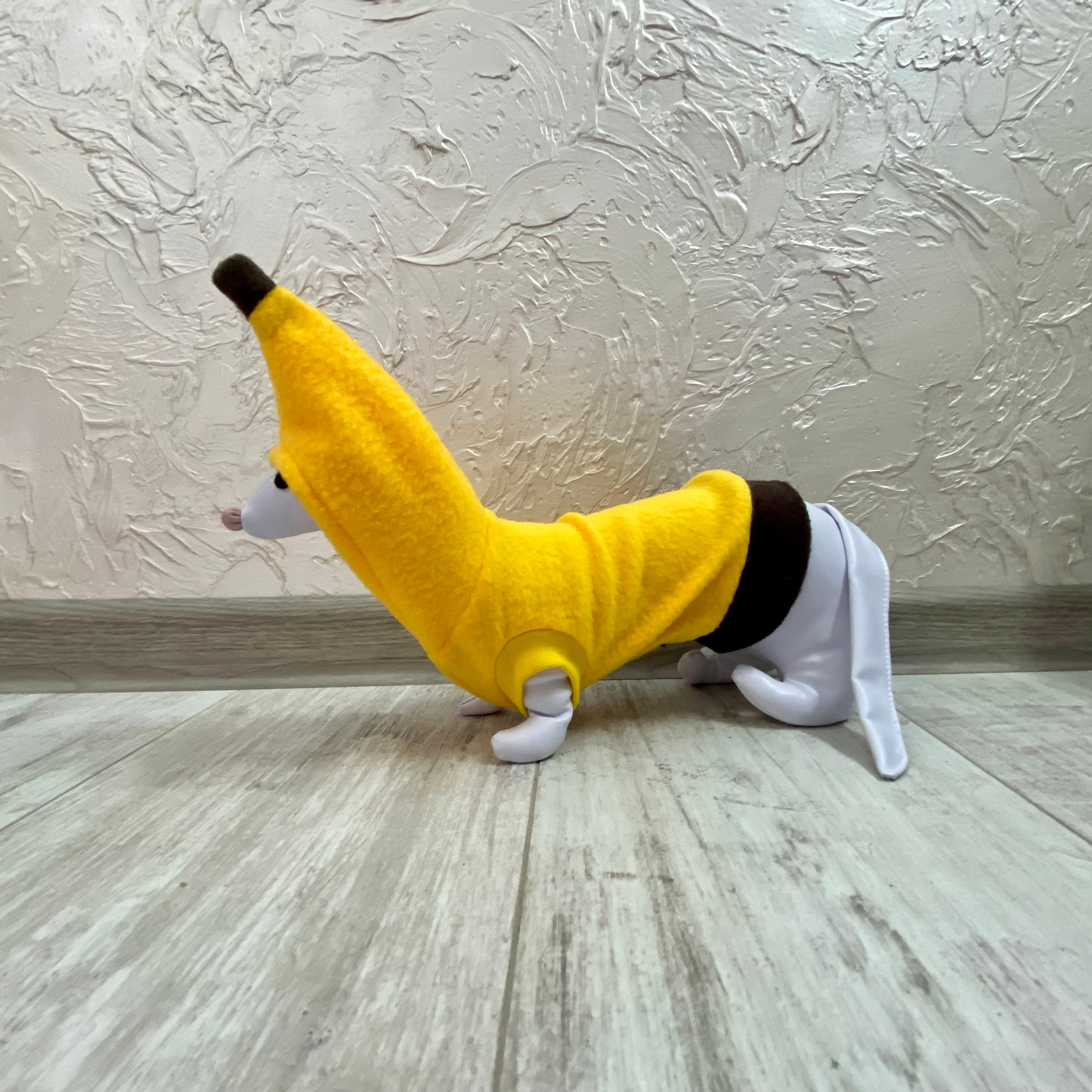 Banana Costume for Ferrets Halloween Ferrets - Etsy Australia