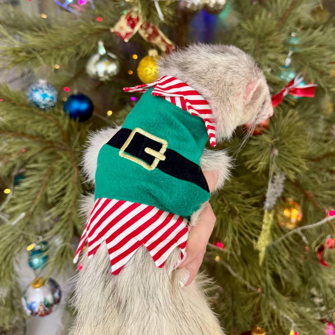 Christmas Elf Ferret Costume: Festive Holiday Outfit - Etsy