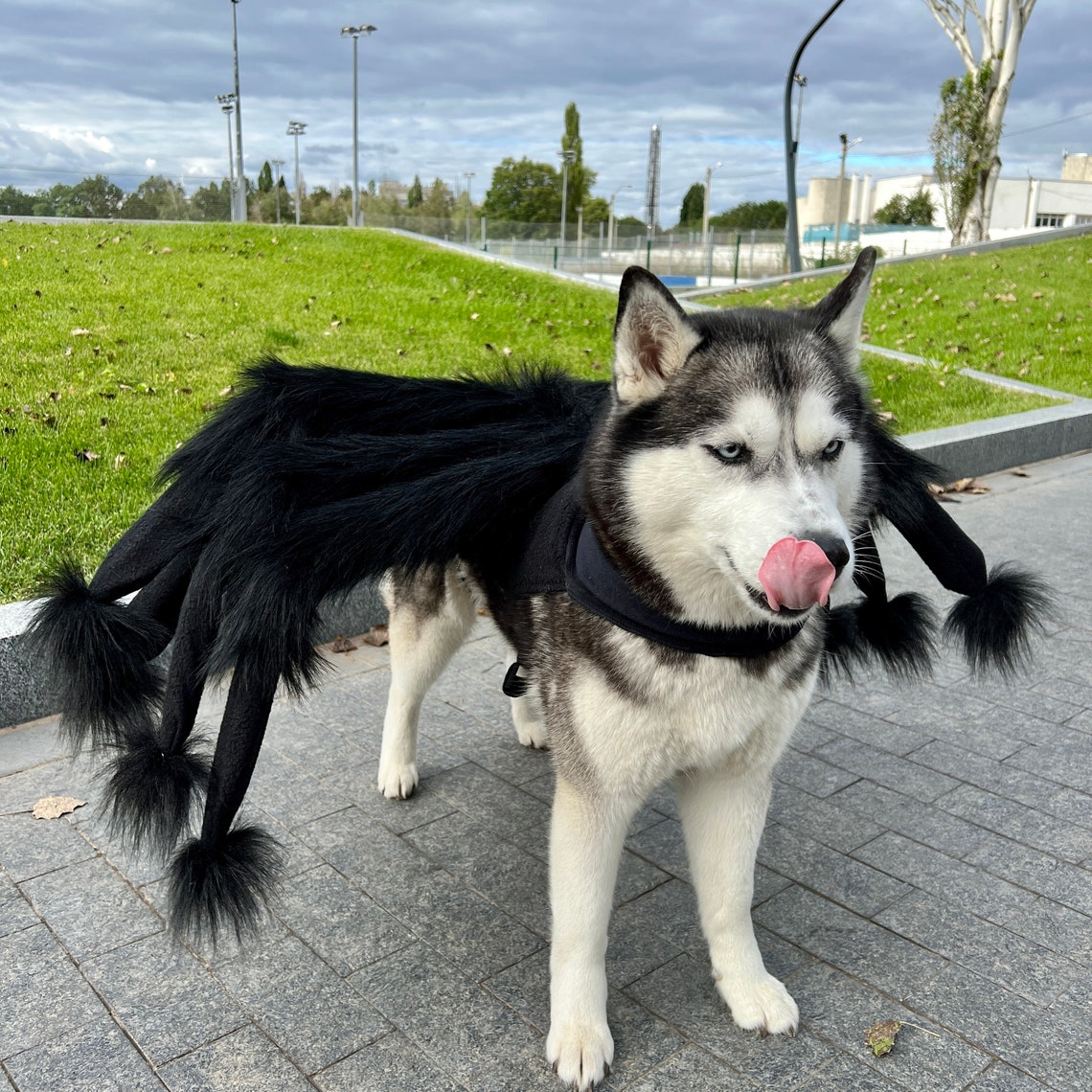 Giant Mutant Spider Dog Costumecreepy Spider Costume for Small - Etsy