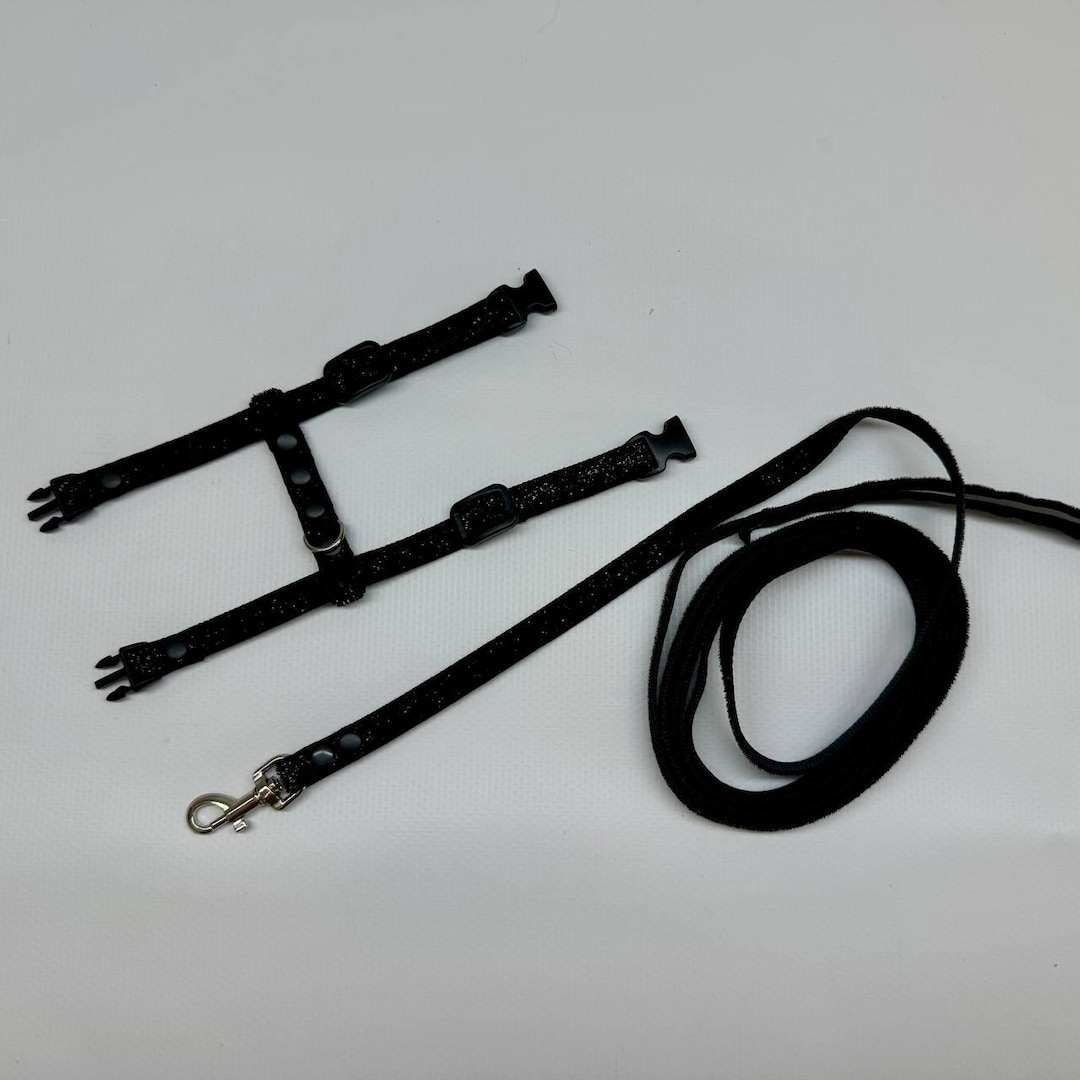 Black Shiny Ferret Harness and Leash Set: Adjustable Walking Costume - Etsy