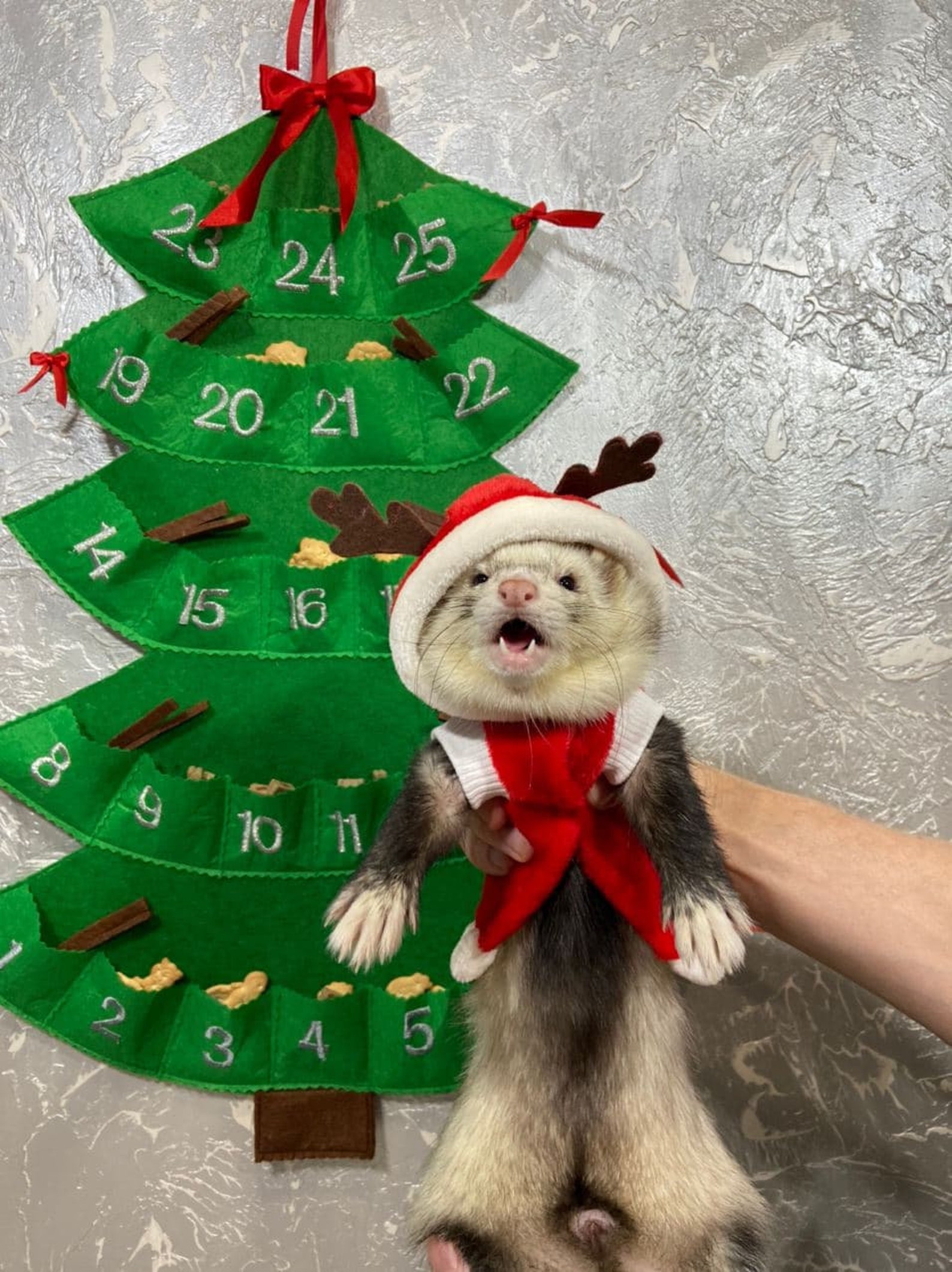 Ferret Reindeer Costume Christmas Red Antlers Costume Ferret | Etsy