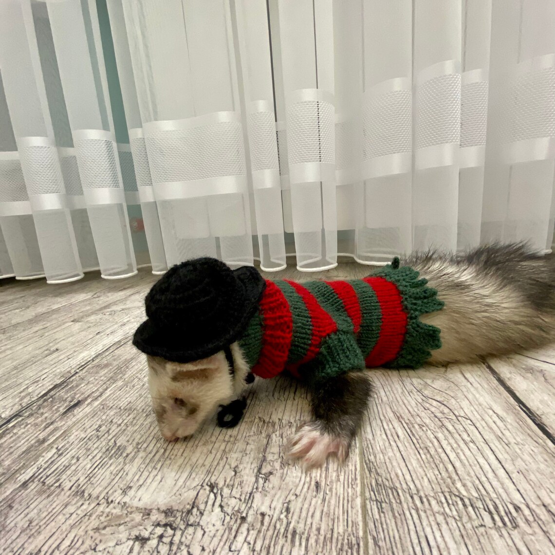 Freddy Krueger Sweatercreepy Scary Clothes for Ferrets | Etsy