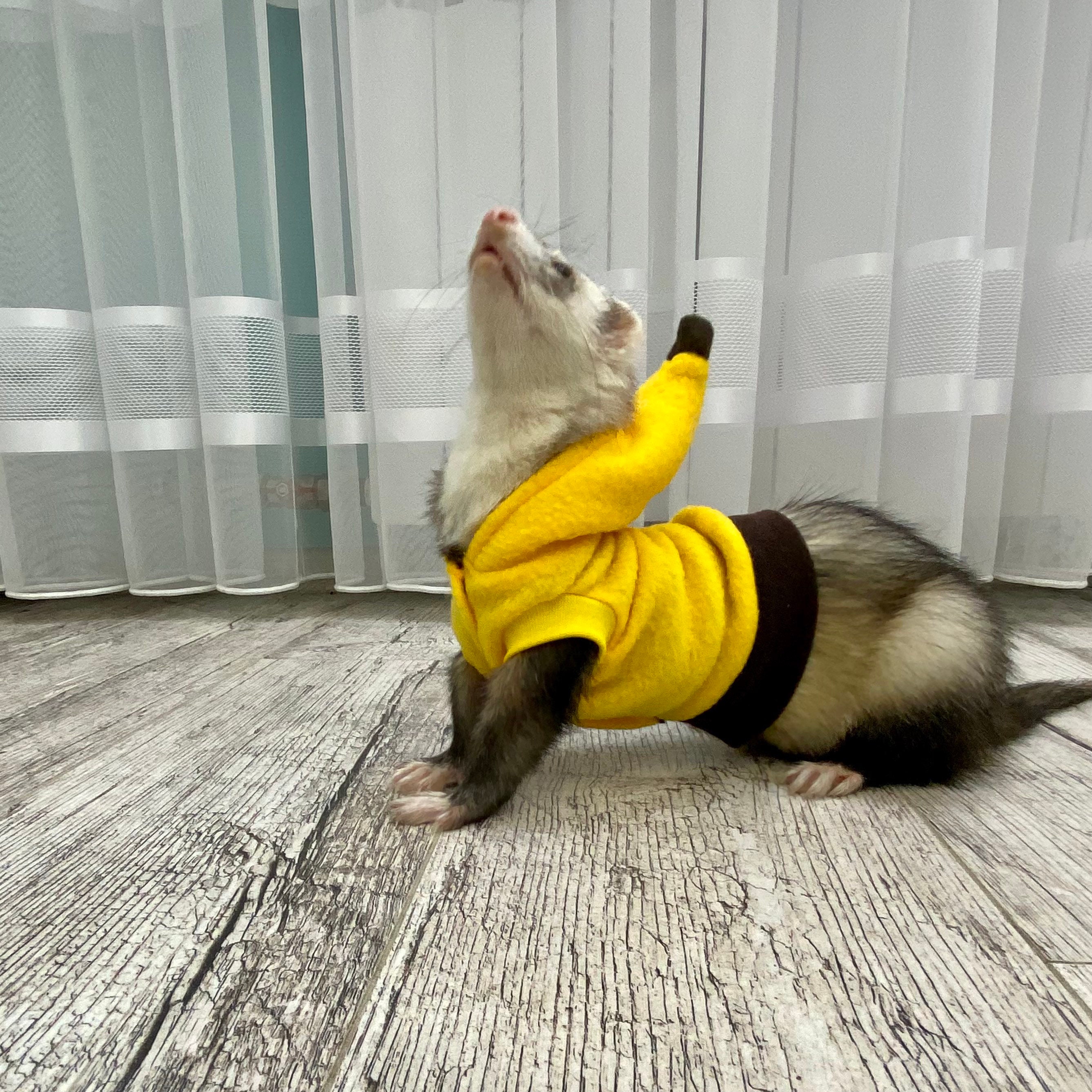 Banana Costume for Ferrets Halloween Ferrets | Etsy