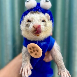 Ferret Costume, Cookie Monster Costume, Cute Cookie Ferret Costume ...
