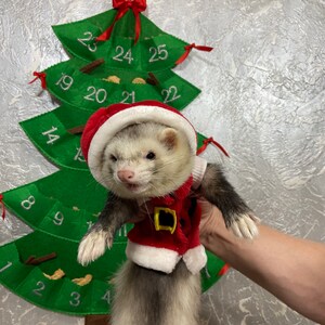 Christmas for Ferret,cute Ferret,gift for Ferret Owner,accessories for ...