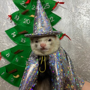 Wizard ferretсhristmas for the ferret gift for ferret owner | Etsy