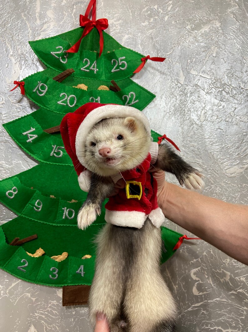 Christmas for Ferretcute Ferretgift for Ferret - Etsy UK