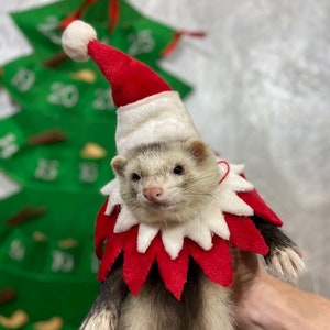 Clothes for Ferrets Santa's Ferret.costume Ferrets New - Etsy