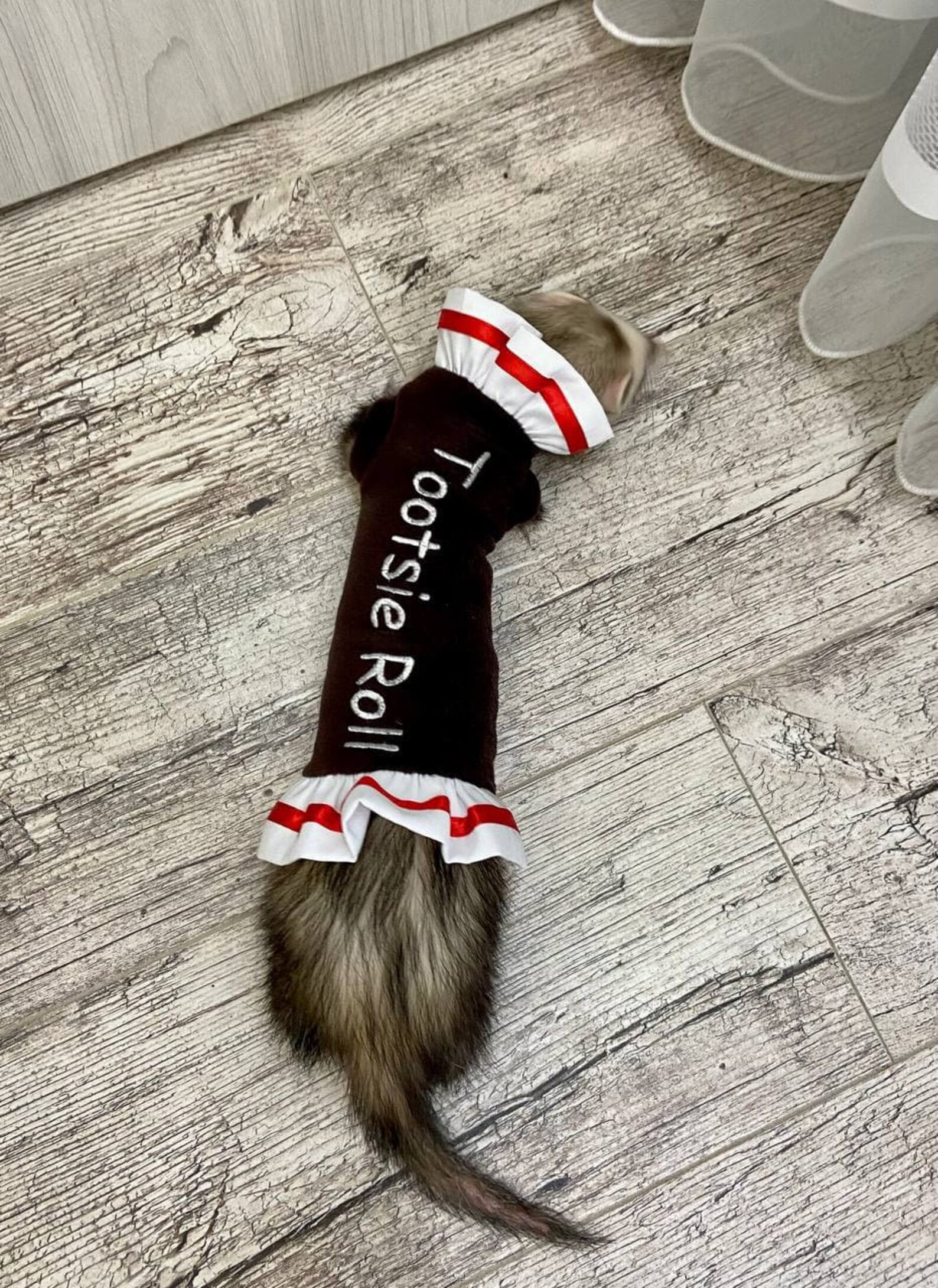 Ferret Costume Candy Tootsie Roll Halloween Ferret Clothes - Etsy