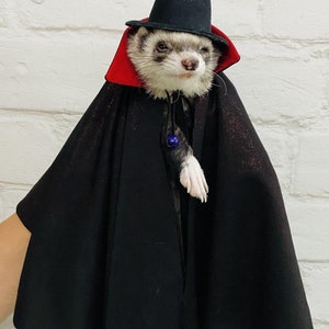 Count Dracula's Cape. Halloween Vampire Cape. Scary Halloween Ferret ...