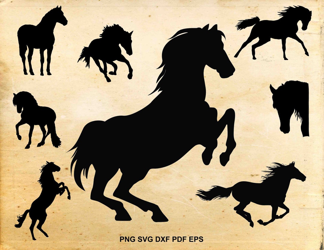 Horse Svg Files, Horse Clipart, Equestrian Svg, Cut Files for ...