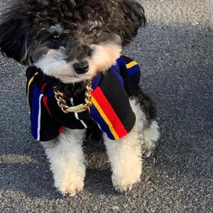 Black Colorful Striped Dog Top, Liverpool Textured Knit, Dog Clothing ...