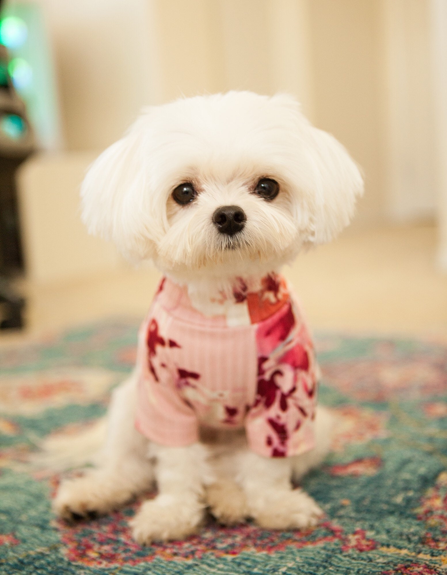 Pink Floral Print Rib Knit Mock Neck Top Dog Top Dog | Etsy