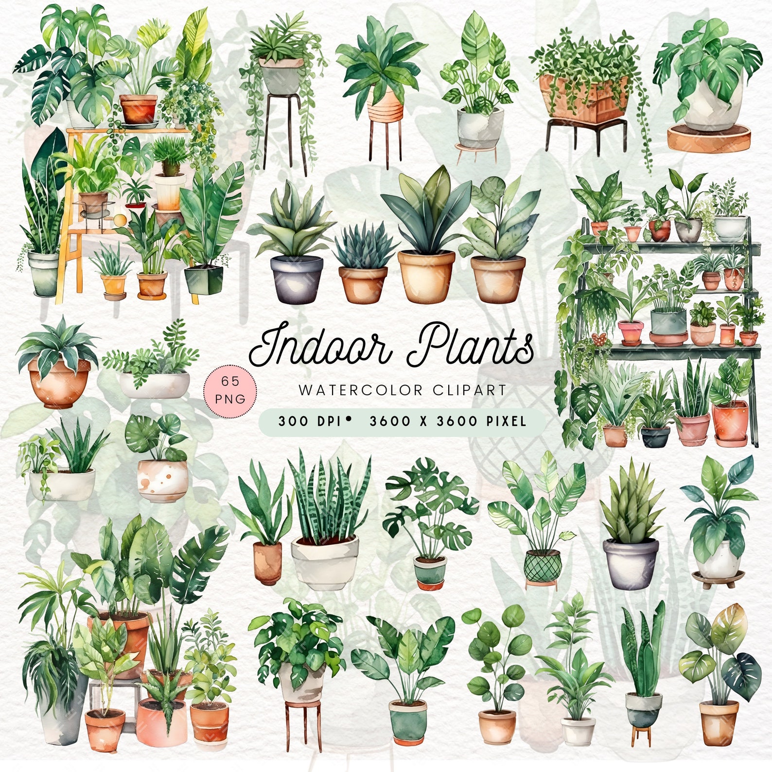 Watercolor Indoor Plants Clipart,house Plants Clipart Bundle,plants ...