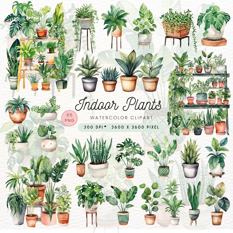Watercolor Indoor Plants Clipart,house Plants Clipart Bundle,plants ...