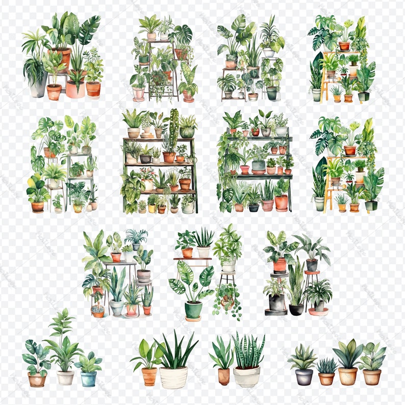Watercolor Indoor Plants Clipart,house Plants Clipart Bundle,plants ...