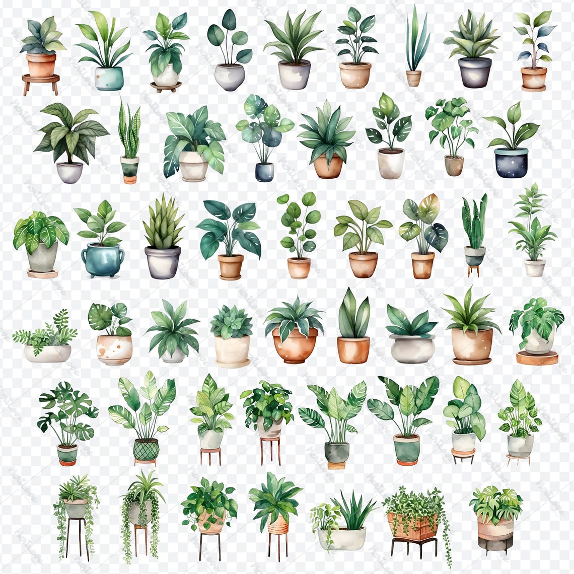 Watercolor Indoor Plants Clipart,house Plants Clipart Bundle,plants ...