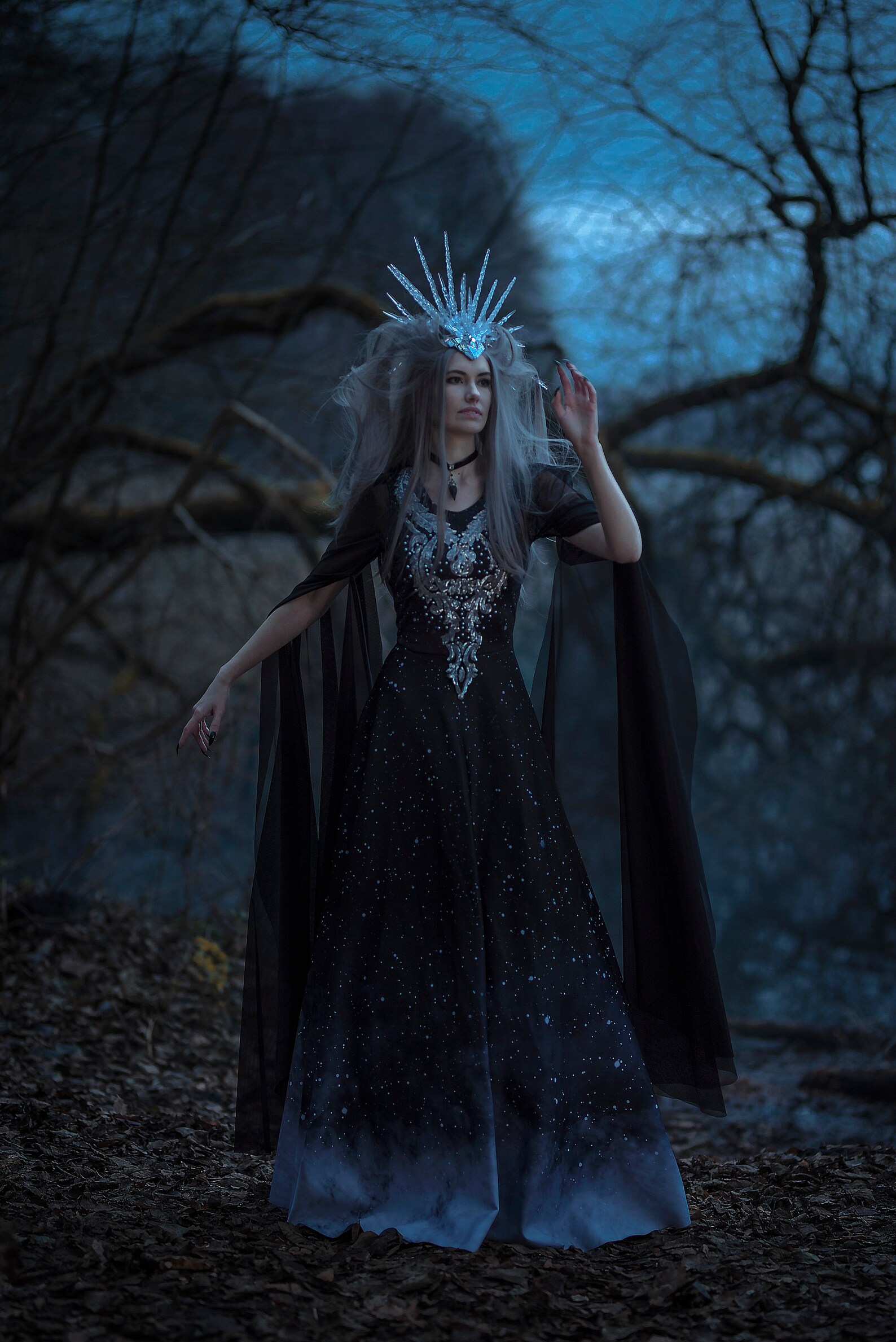 Silver Lace Mist Gown Dress Elven Dark Ombre Long Train - Etsy