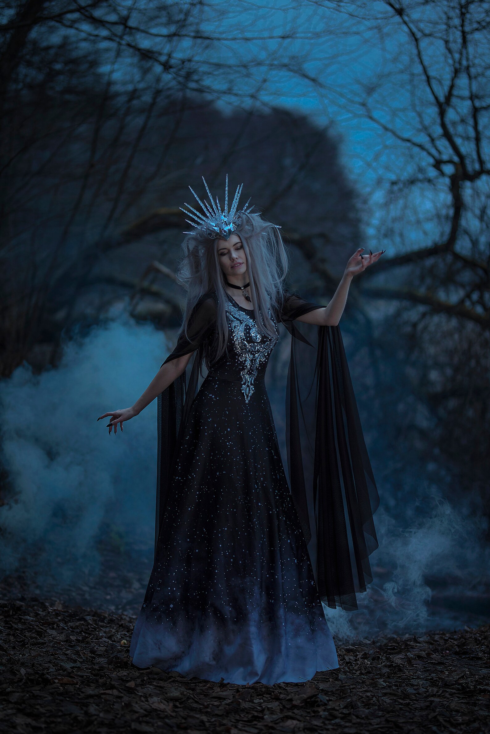 Silver Lace Mist Gown Dress Elven Dark Ombre Long Train - Etsy