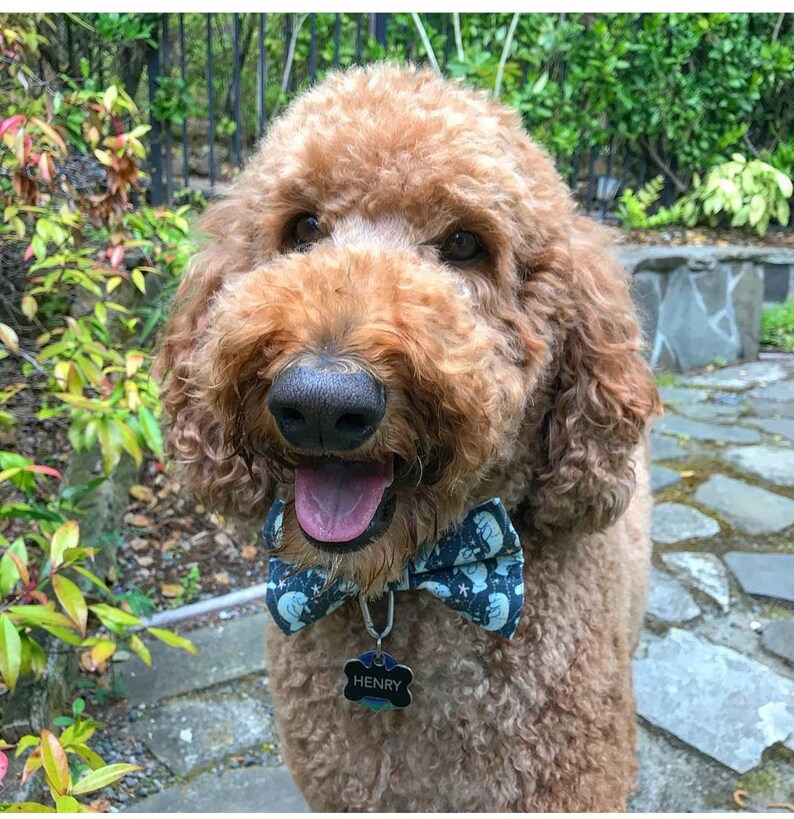Florida Manatee Dog Bow Tie | Etsy